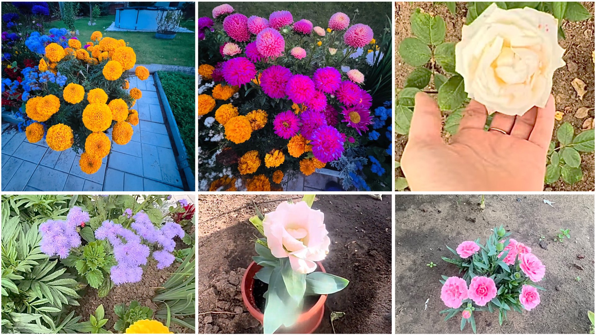 Коробка с семенами. ЦВЕТЫ. Первый опыт