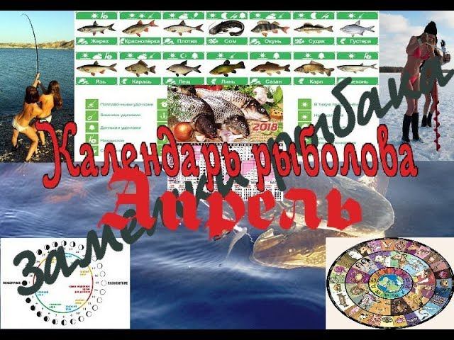 Календарь рыболова.  Апрель.