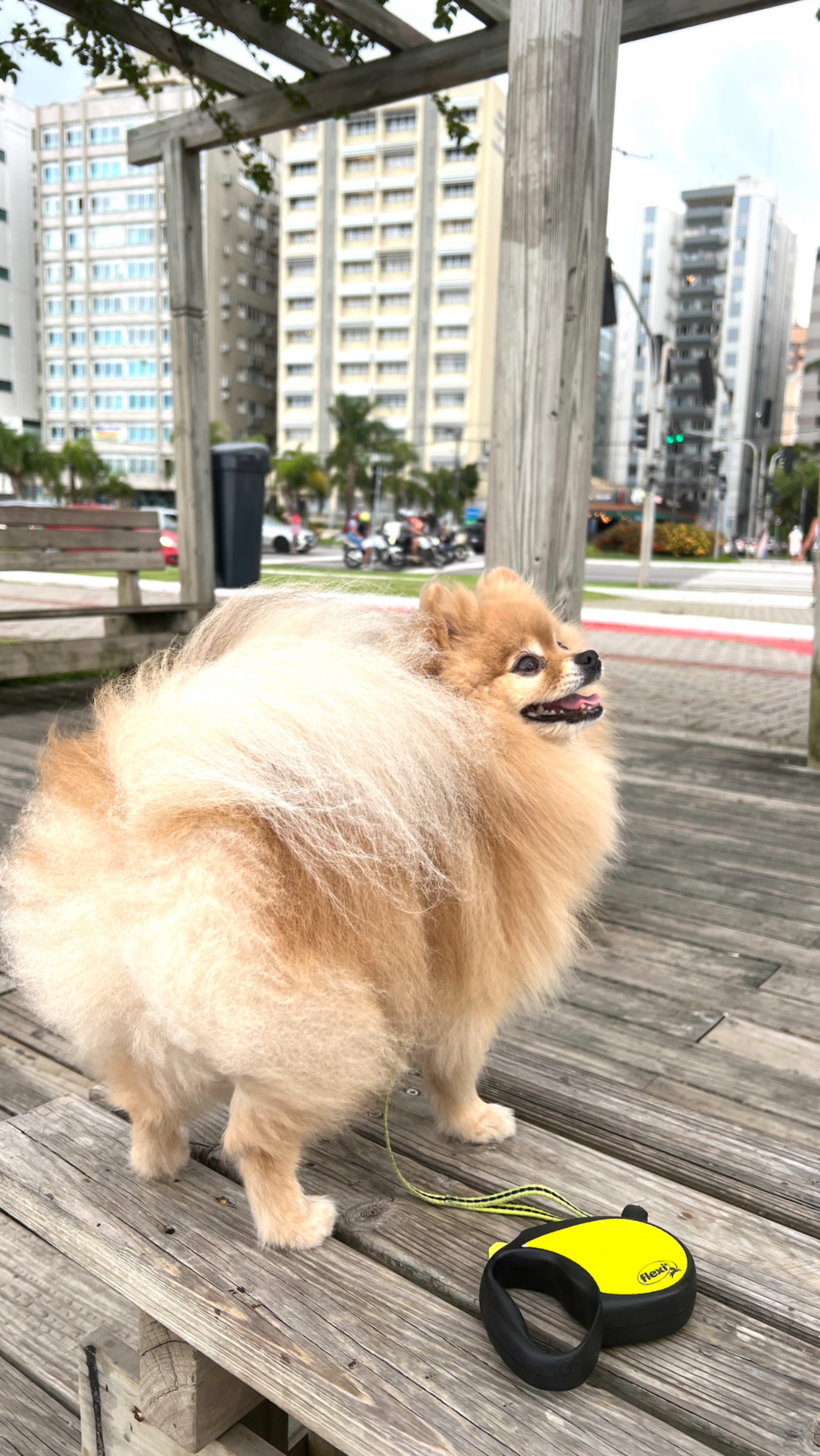 У Баси есть особенный подпрыг!