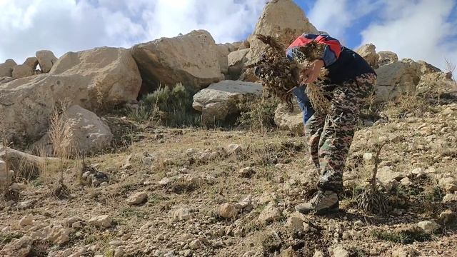 СОЛО-КЕМПИНГ В ГОРАХ - УКРЫТИЕ В СКАЛЕ СИЛЬНЫЙ ВЕТЕР ASMR-СОЛО Выживание в горах