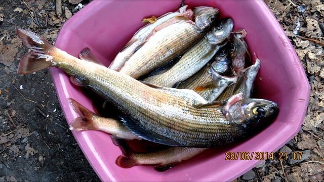 ОСТРОВ ИЮНЬ 2014