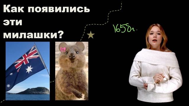 Проекты учащихся школы «Алгоритм»: Кто такие квокки? Милейшее животное на Земле