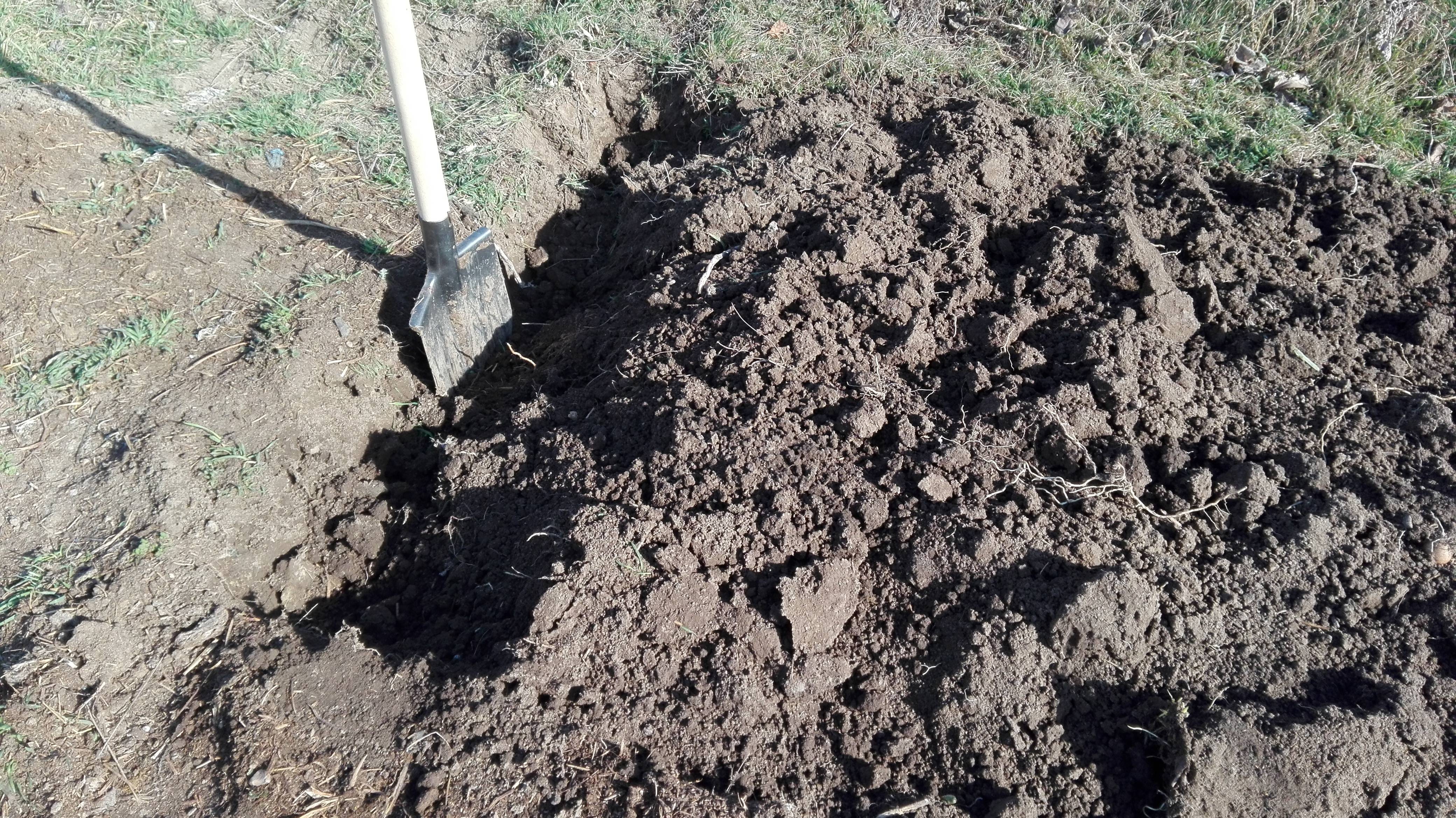 Пашим землю на штык.