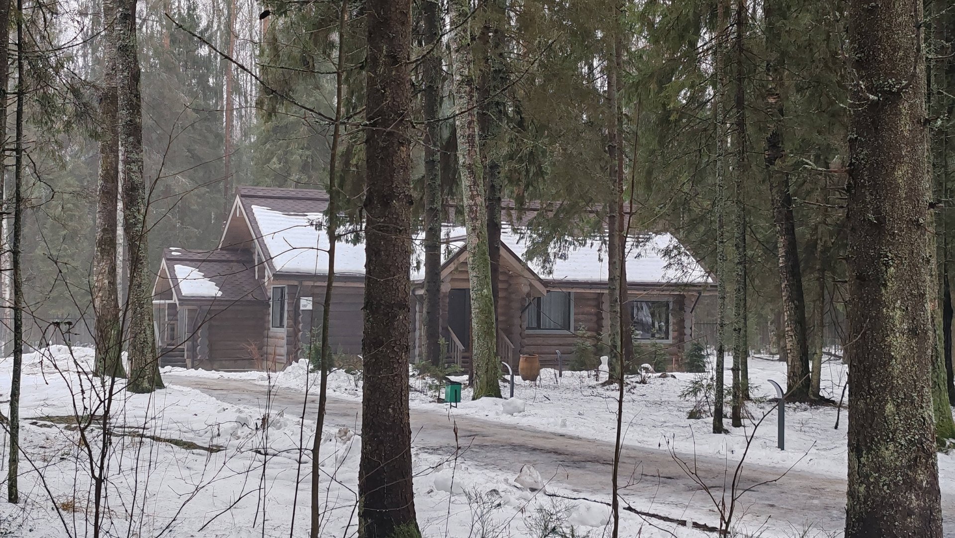 Эко отель Романов лес Костромская область