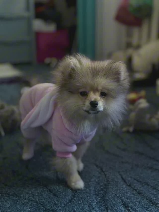 Милашки с Маркетплейса 7