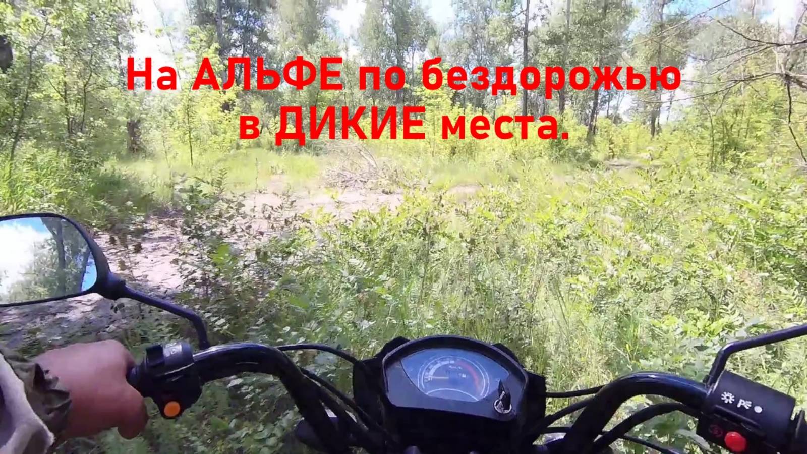 На АЛЬФЕ по БЕЗДОРОЖЬЮ в дикие места.