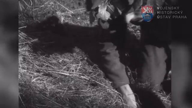 Учебный фильм Минное дело (1951)