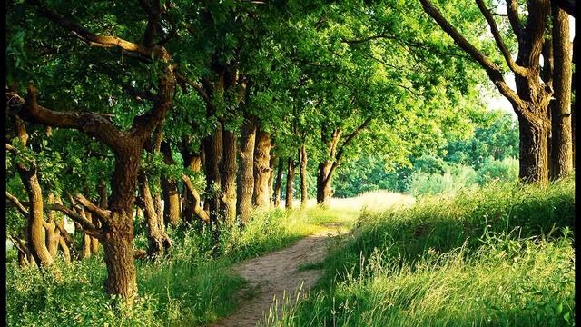 А  Пушкин  Поэт #философскаялирика #поэты19века