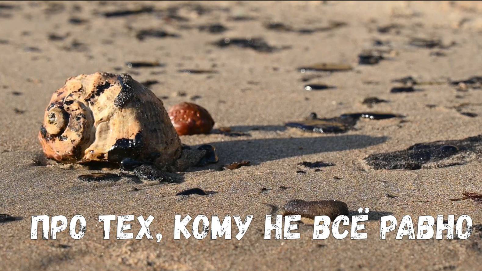 Будни и праздники