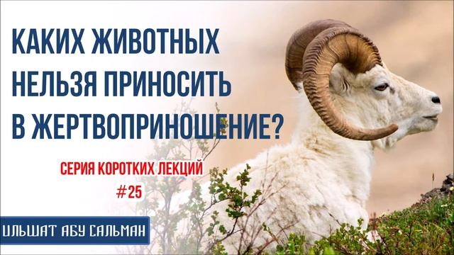 Короткие лекции. Курбан-Байрам