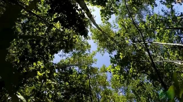 Реальность в незнакомом обличии часть 7.