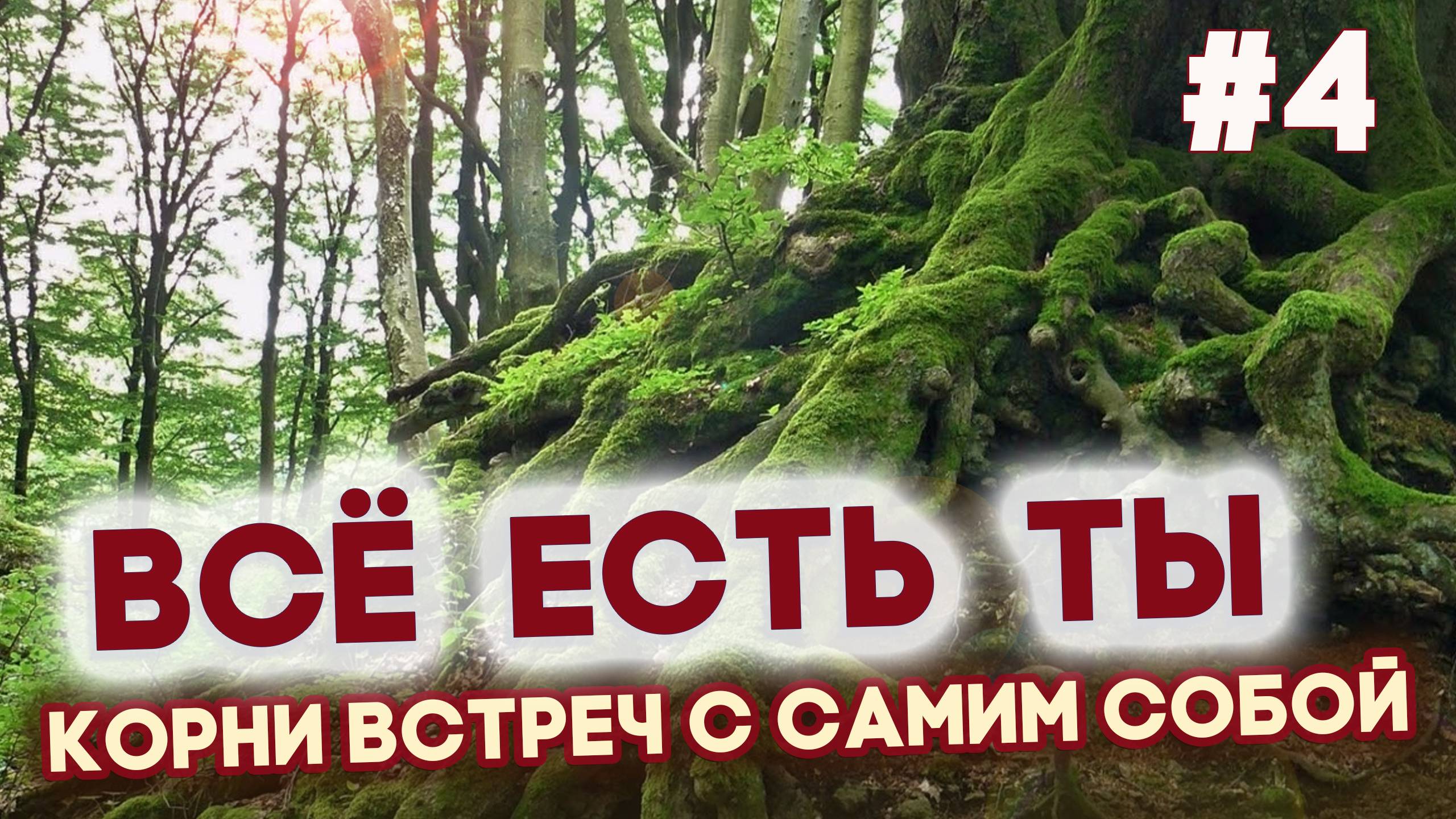 ВСЁ ЕСТЬ ТЫ. Корни встреч с самим собой. Прорастай в ИСТИНУ!