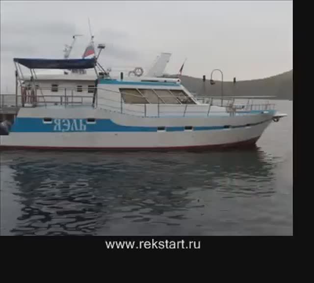 Как красива ВЕСНА и ЦВЕТЫ на Байкале. ЖИВОТНЫЕ Байкала.