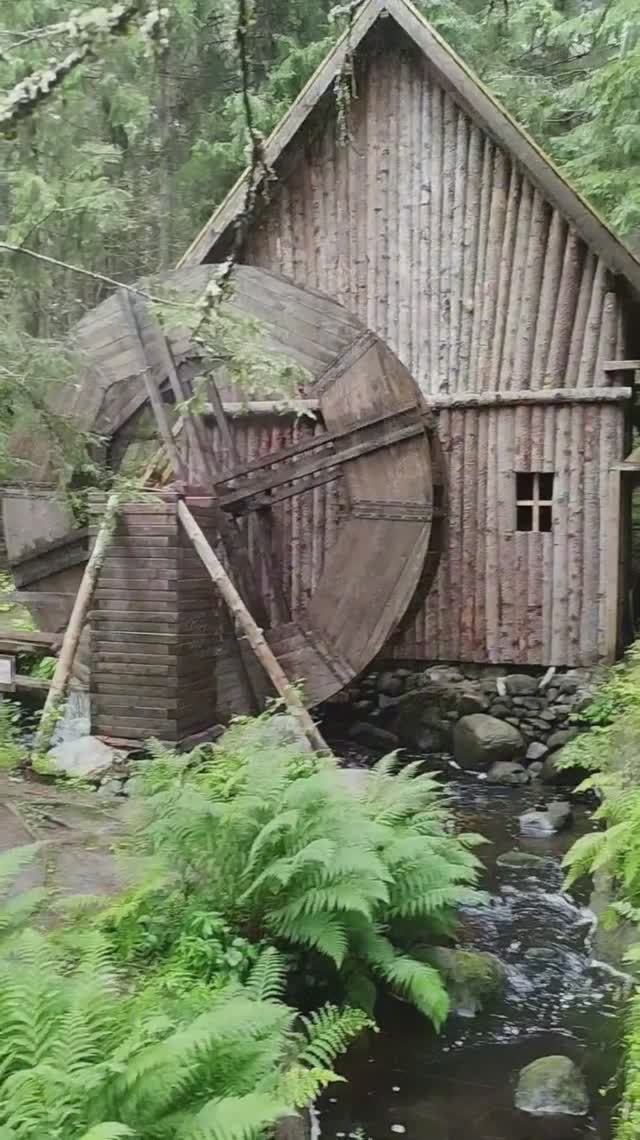 Старая мельница. Экопарк Долина водопадов. Карелия, июль 2024