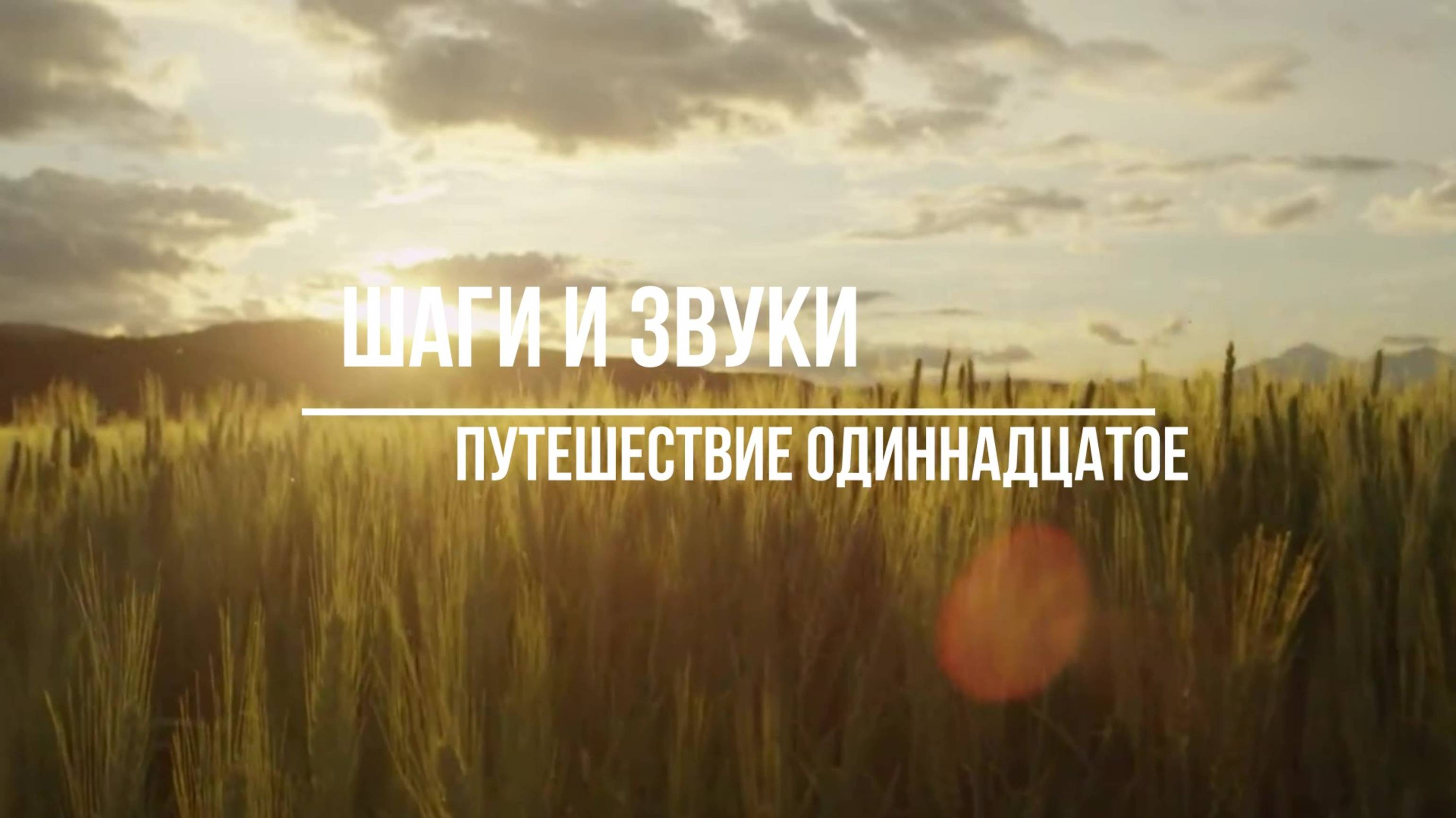 Шаги и звуки 11. Поле