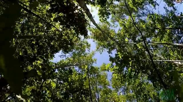 Реальность в необычном обличии часть 10.