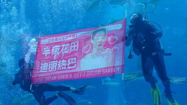 Бренд решил представить Дильрабу Дильмурат на земле в воздухе и на воде.