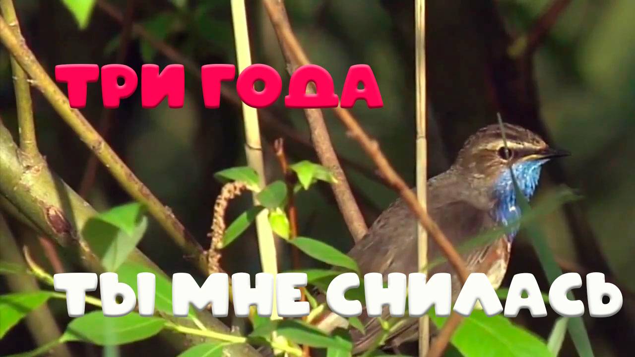 трт года