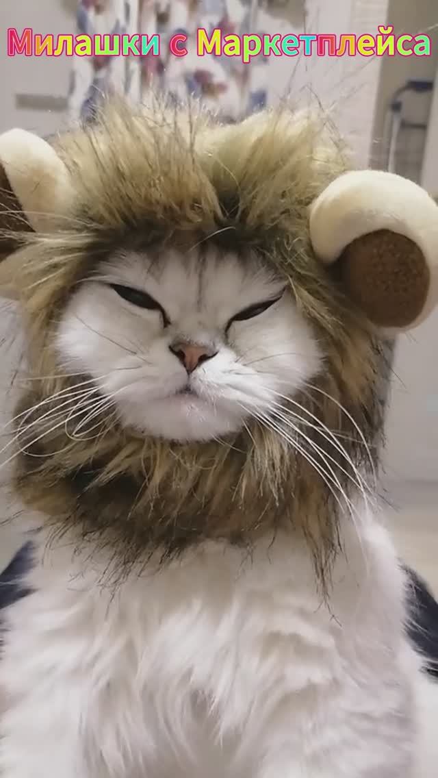 Милашки с Маркетплейса 9 / Cuties from the Marketplace 9