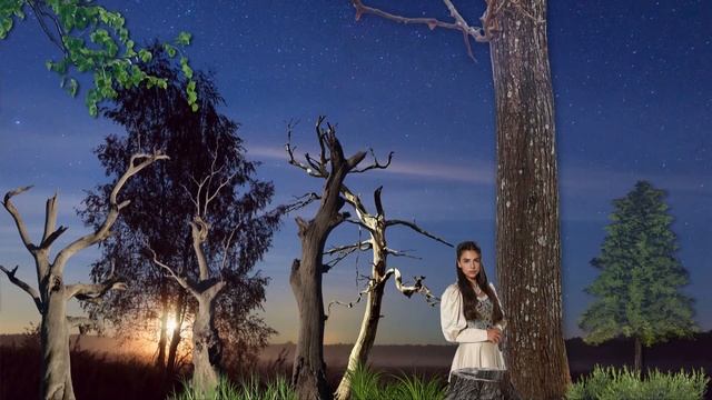 Игорь Янакий - Падают Звёзды.