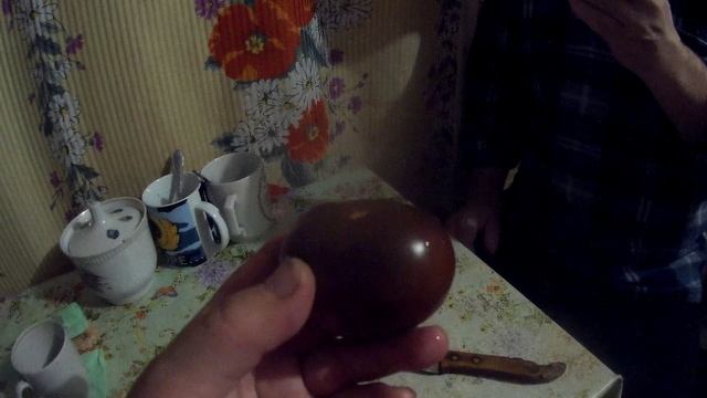 томат сорт чёрная лакомка, арбуз сорт Кримсон Свит. 25 09 2018г.