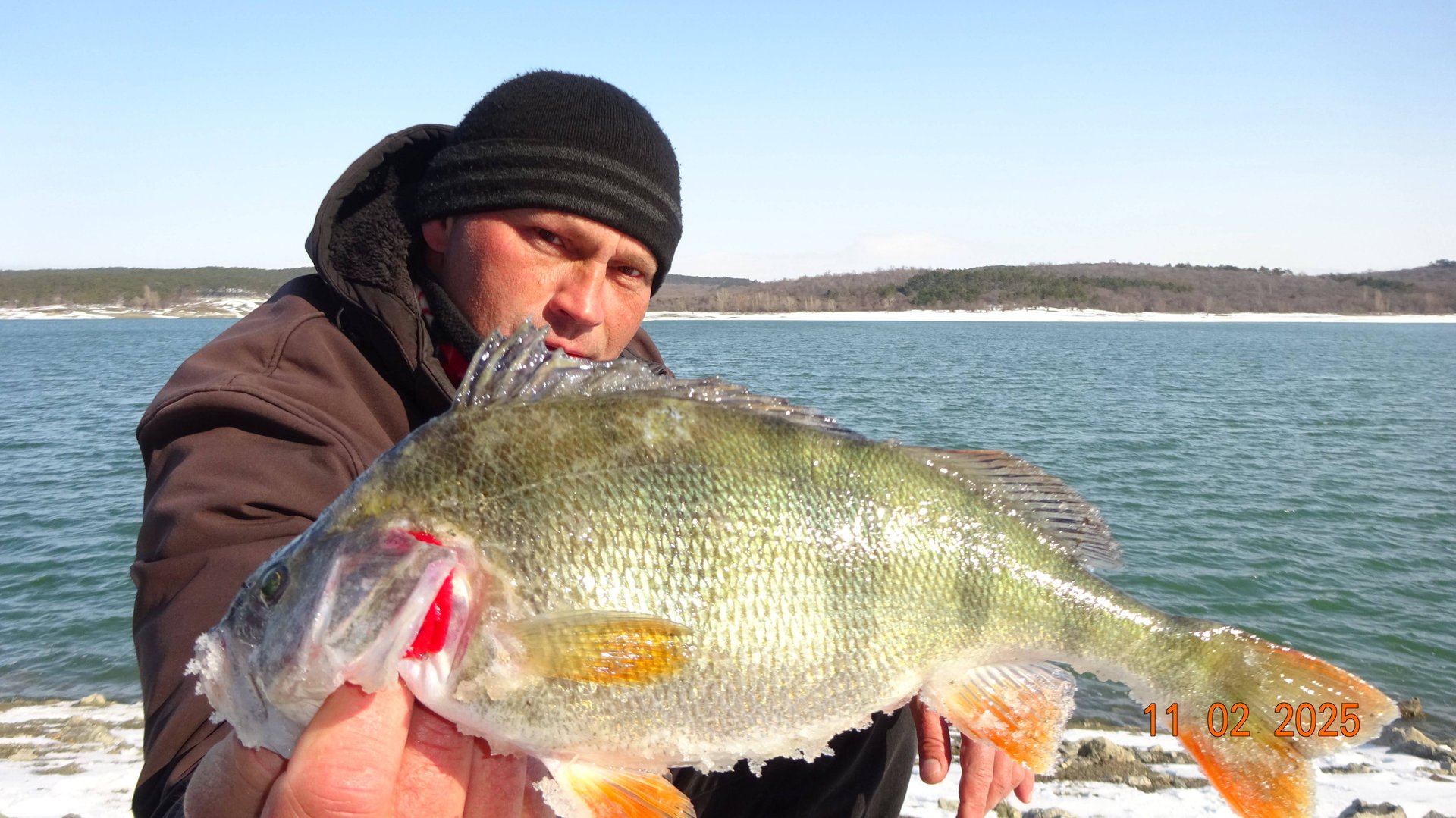 НА ЗИМНЕЙ РЫБАЛКЕ НА ЖИВЦА ЩУКА ОКУНЬ.