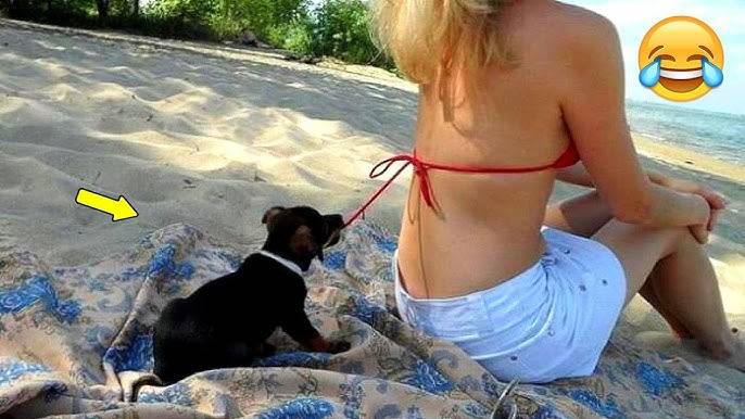 1 - ПРИКОЛЫ 2024 ЛУЧШИЕ ДО СЛЕЗ 😂 11 Минут смеха 2024 Смешные видео Лучшие ПРИКОЛЫ