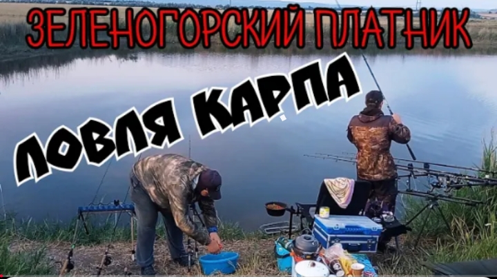 Рыбалка на карпа. Зеленогорск рыбалка.