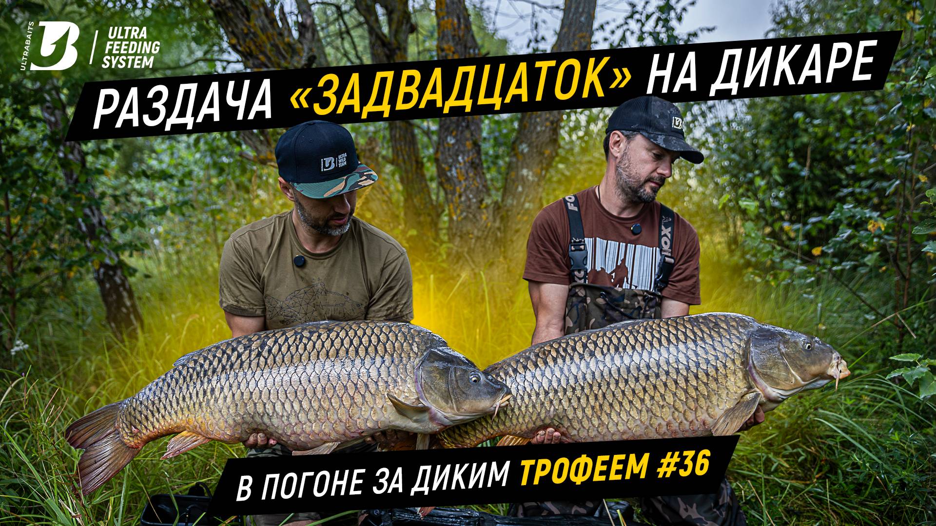 Огромные карпы на водохранилище. Ловля дикого карпа. В погоне за диким трофеем #36.