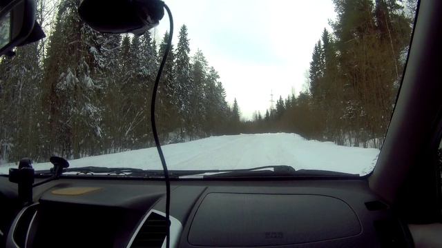 18 03 2018г после метели. дровотаска.