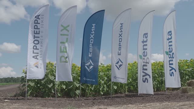 День Поля п. Камыши 07.2024