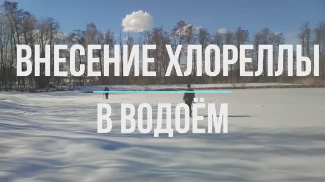 Внесение хлореллы в пожарный водоём СНТ