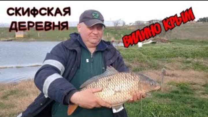 Рыбалка на карпа. Вилино рыбалка. Скифская деревня.