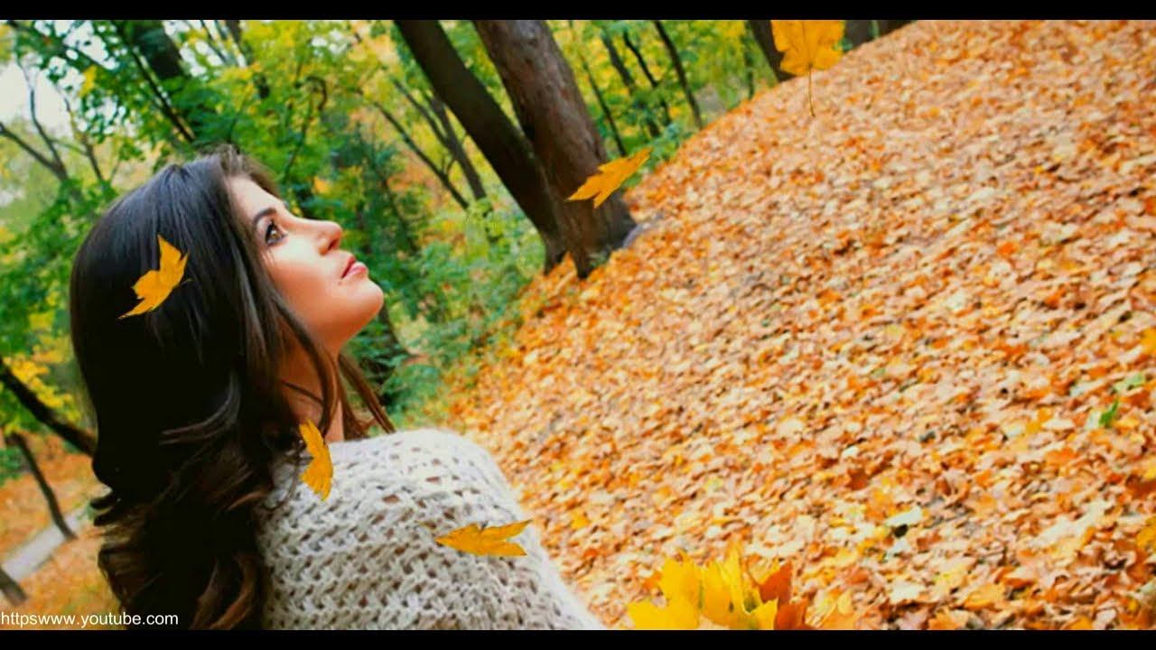 песня для души Так часто бывает Николай Джинчарадзе!