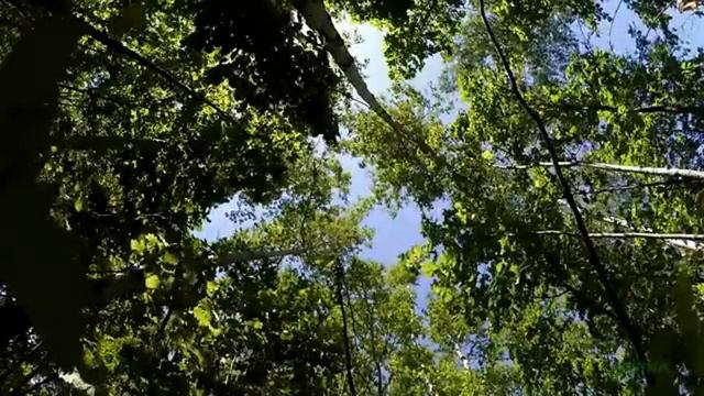 Реальность в необычном обличии часть 9.