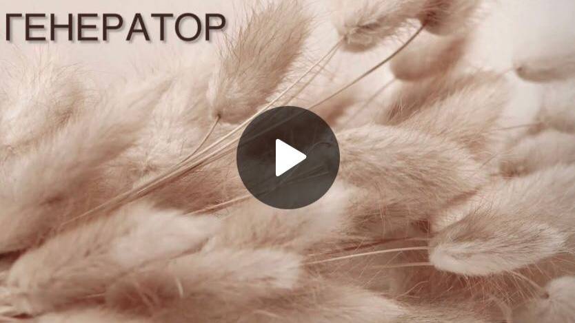 Генератор 70 % всех людей