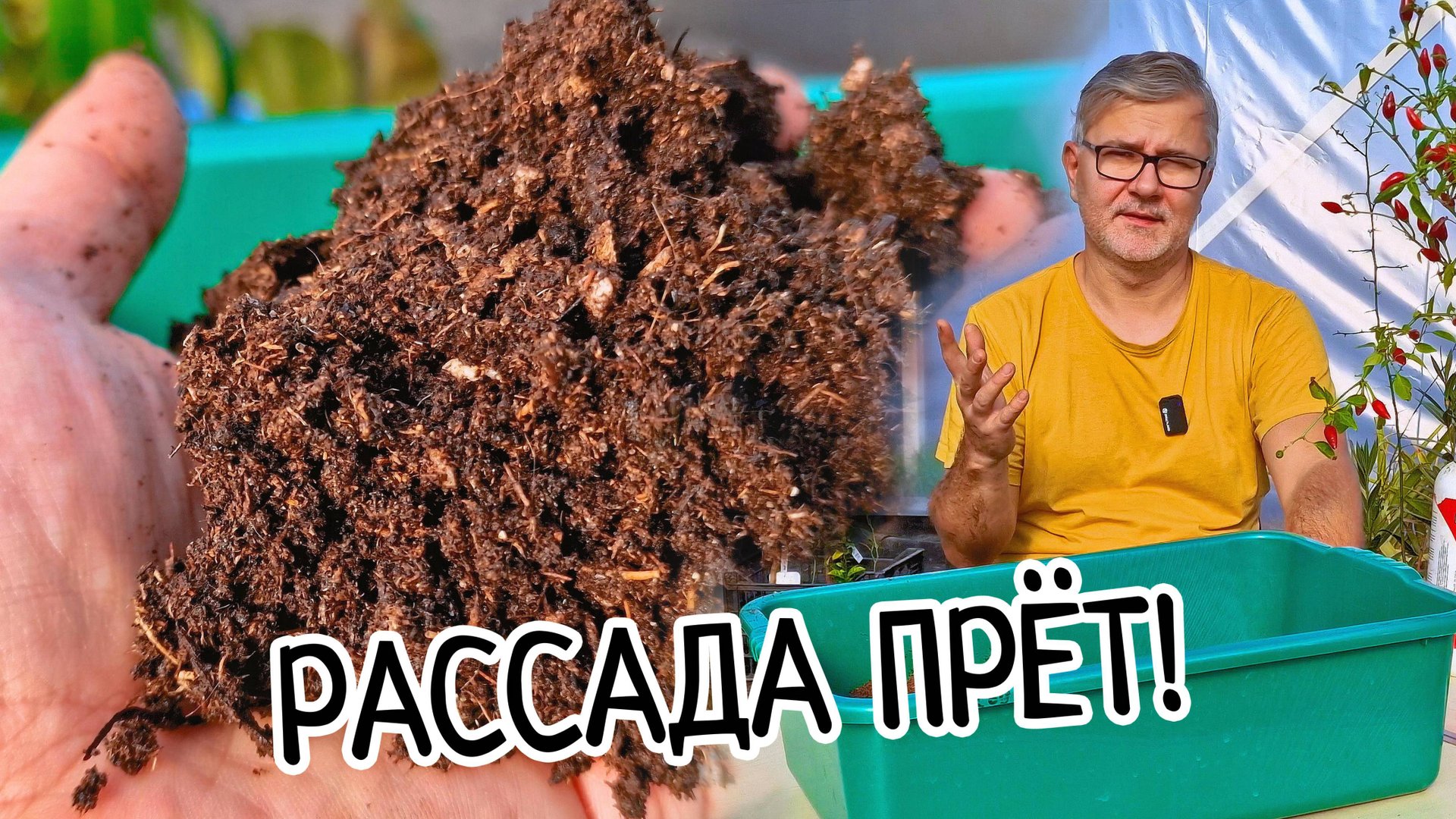 Идеальный грунт для рассады. ЛЕГКО И ПОНЯТНО! Быстрый рост рассады в правильной почве!