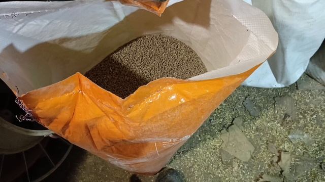 Сухой зерносмесью кормить выгодно