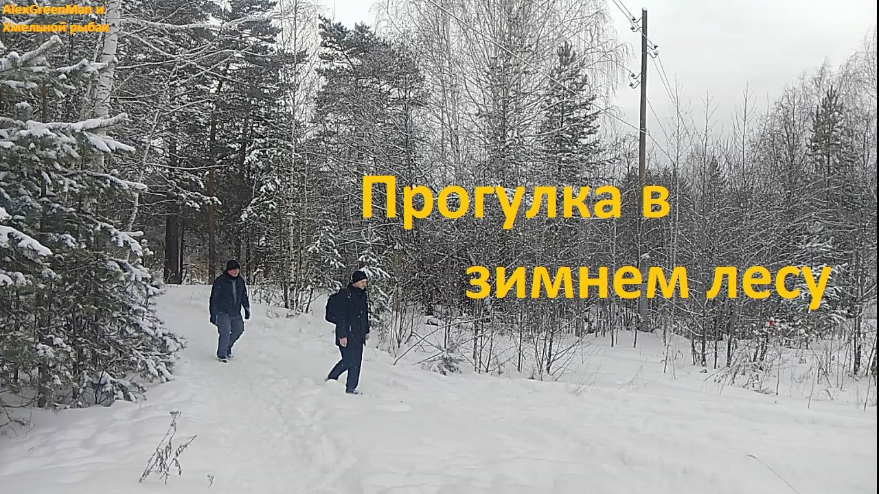 Прогулка в зимнем лесу