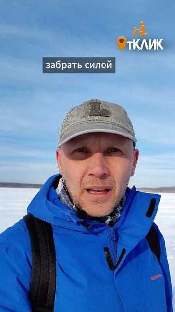 Как появляется бытовая агрессия у собак