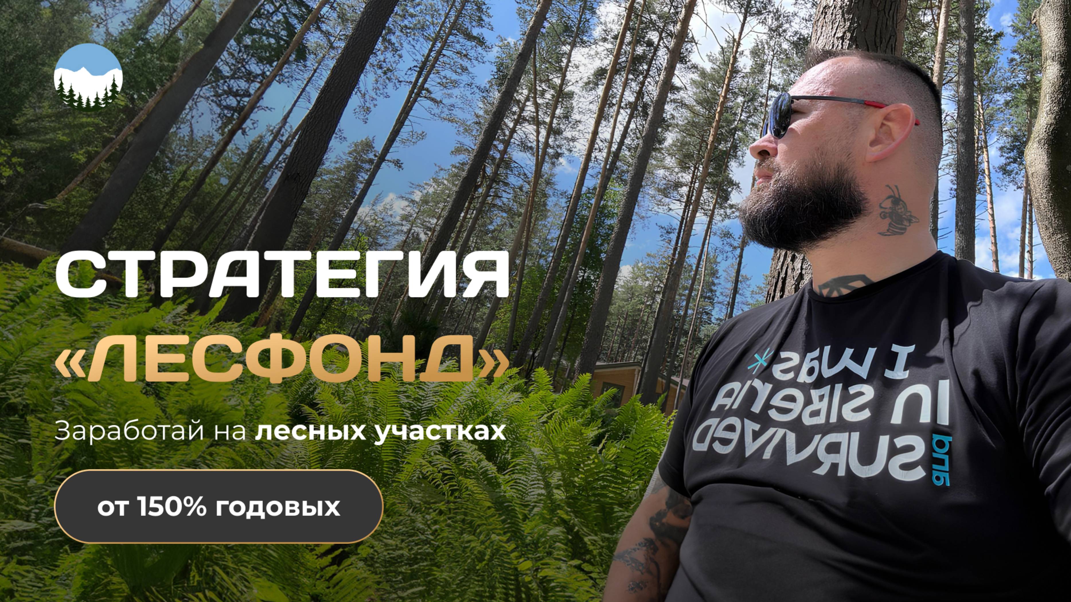 Стратегия "Лесфонд" - увеличиваем капитал с лесными участками