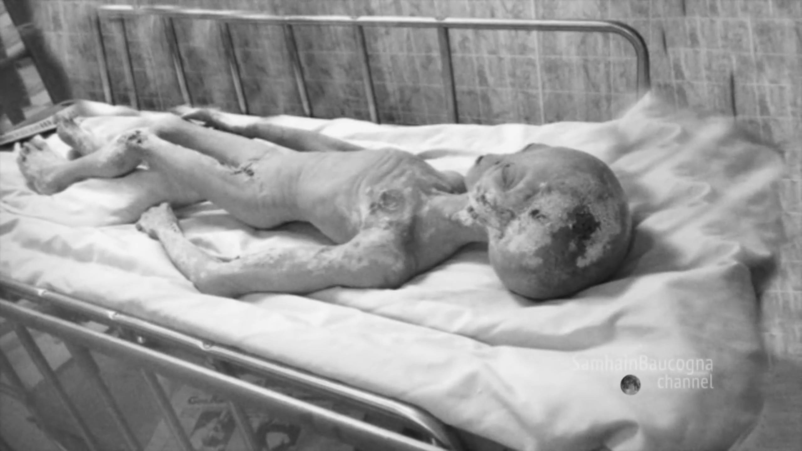 COMPILATION 5 VIDEOS INÉDITOS DE EXTRATERRESTRES Y MUTANTES !