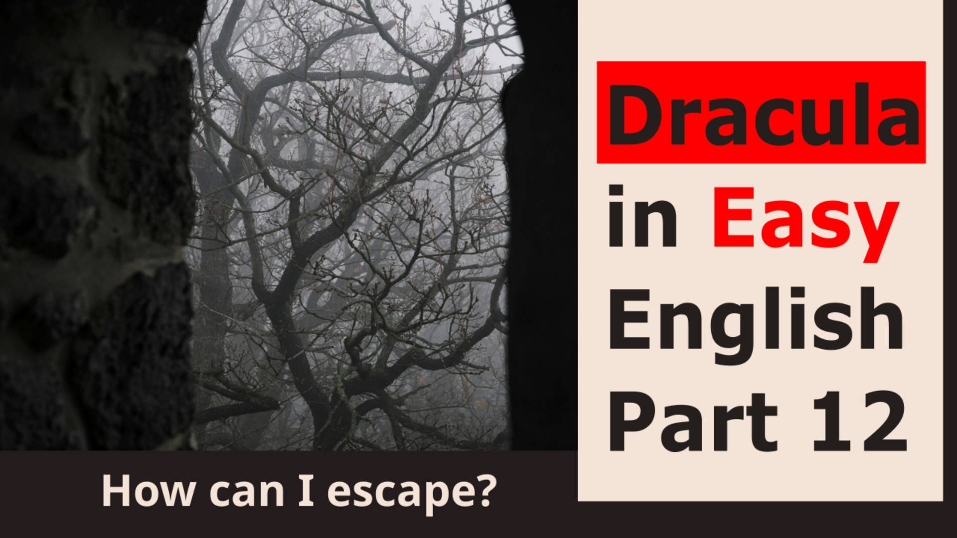 Учим английский с романом "Дракула" на простом английском. Полная версия. Часть 12