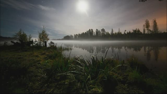 Ночной Звук Сверчков на Озере. Звуки Сверчков Ночью Летом