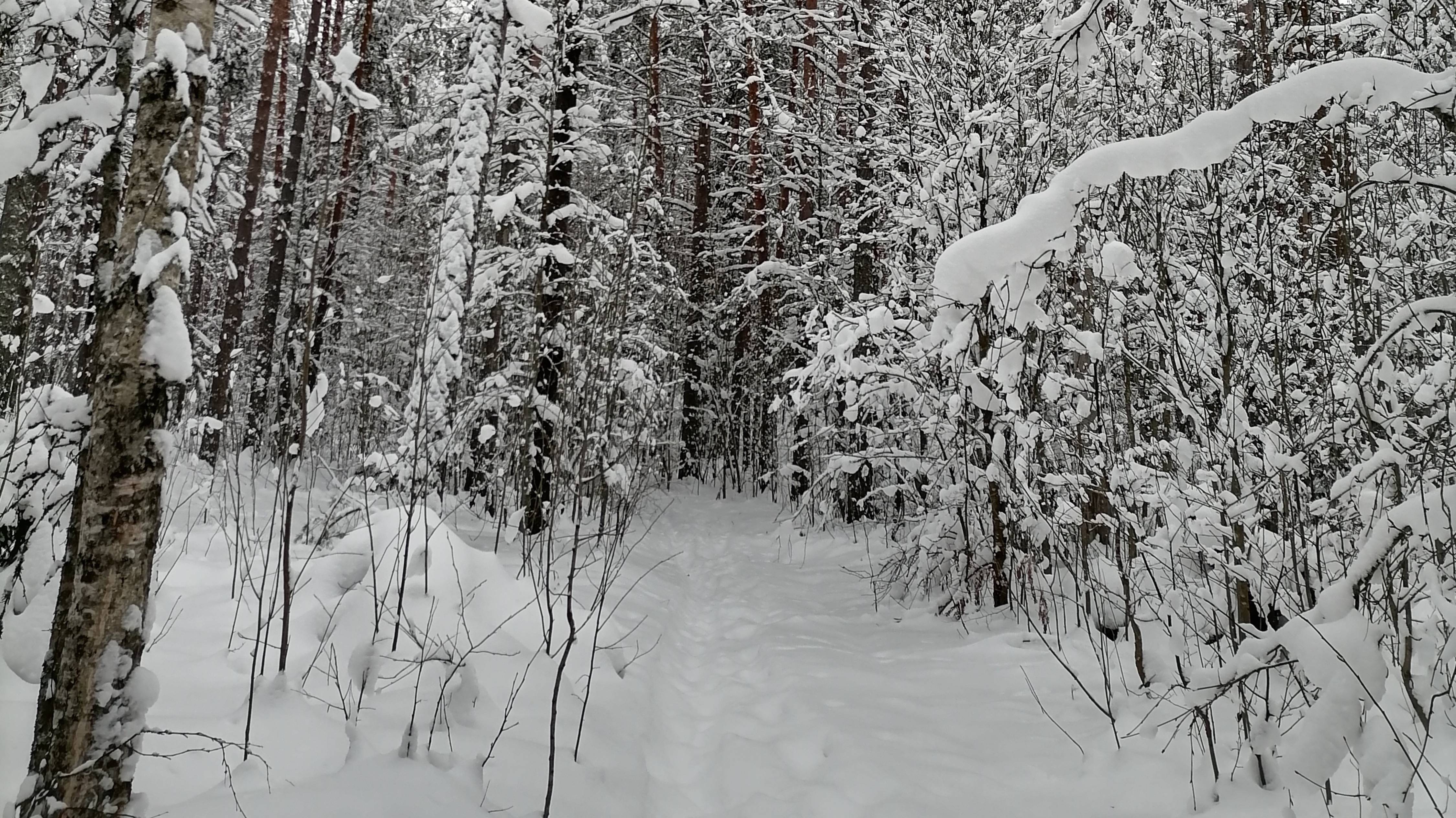 Зимний берег Ладоги