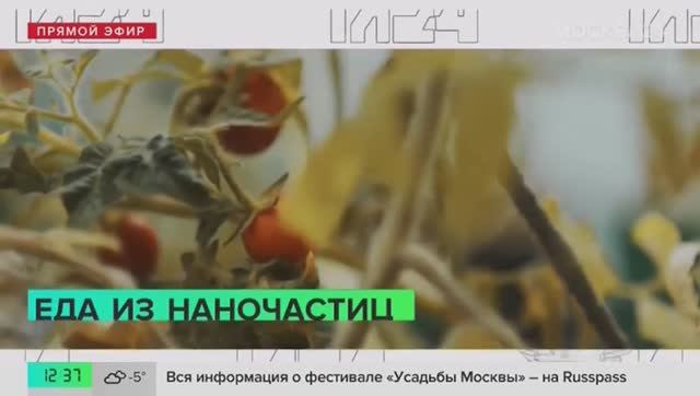 ИФР РАН на программе «Техно», телеканал «Москва 24»