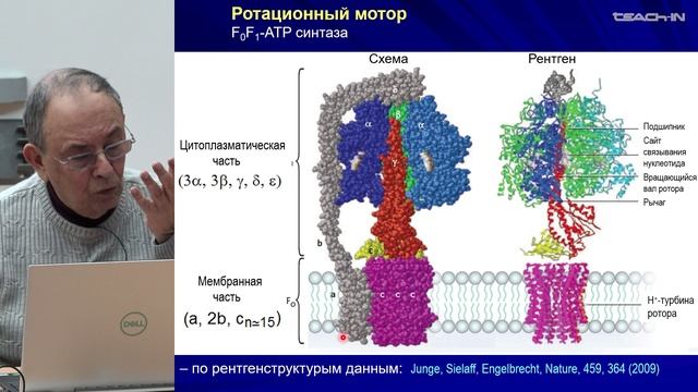 Финкельштейн А.В. - Физика белка - 18. Линейный и ротационный моторы