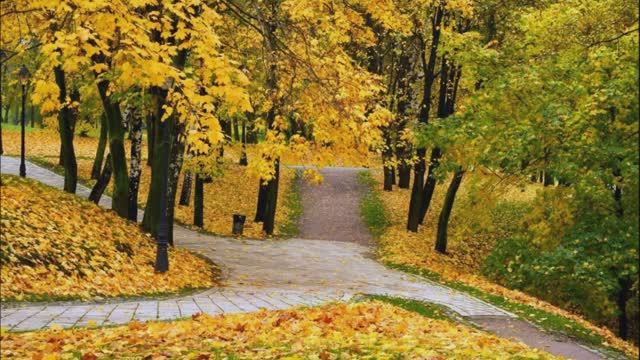 Звук Ветра в Осеннем Парке. Шум Ветра с Шелестом Листвы. Звуки Осени