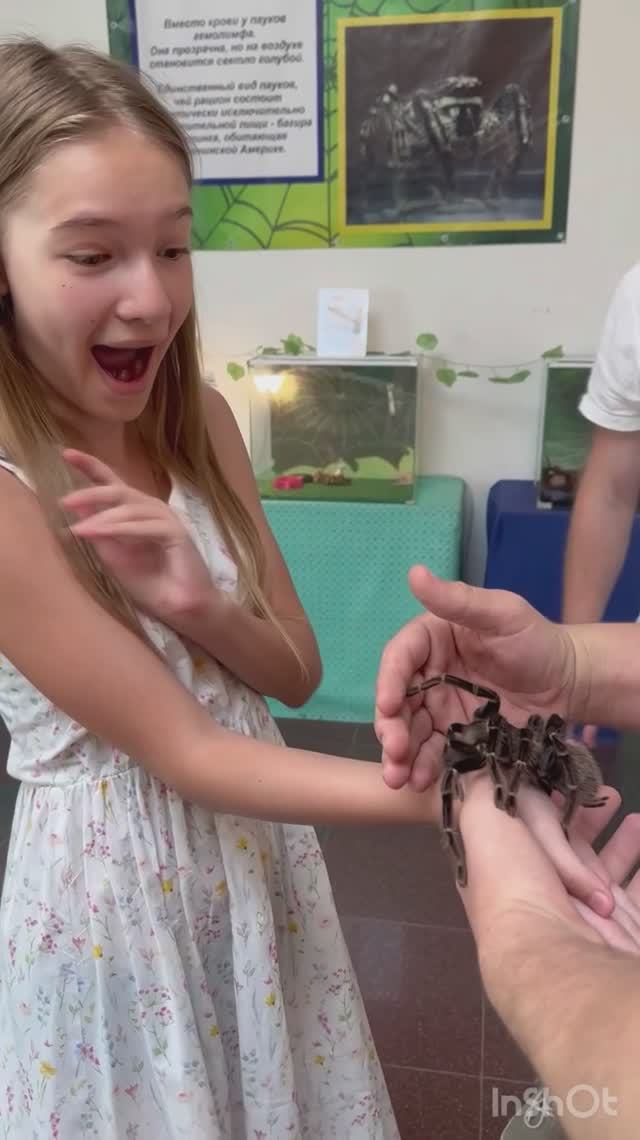 А вы боитесь пауков ? #паук #треш #shorts #популярное