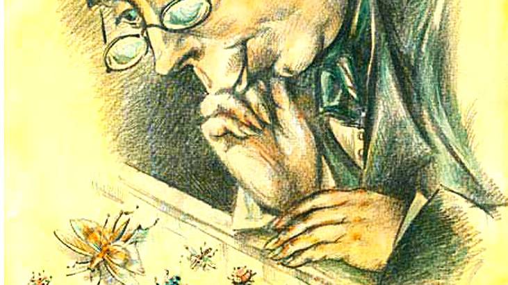 И. А. Крылов: "Любопытный", "Лев на ловле", "Конь и всадник".